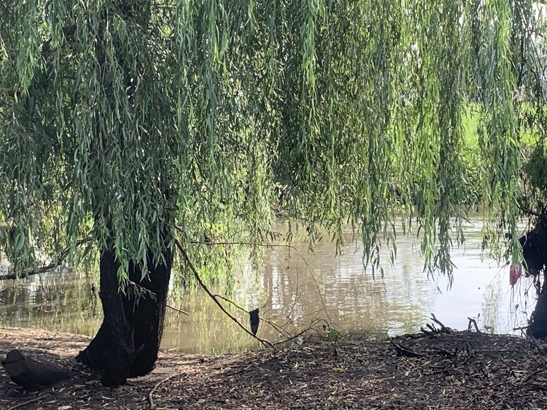 18 Hectare Lush Landscape With River! In Randvaal, Gauteng, South ...