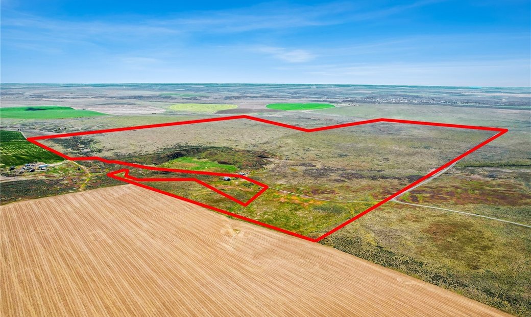 Farm/Ranch In Odessa, Washington, United States For Sale (14198452)