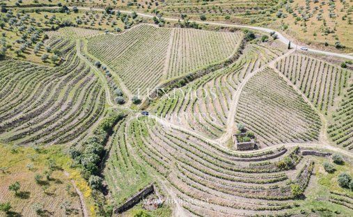 Luxury homes for sale in Almendra, Guarda District, Portugal | JamesEdition