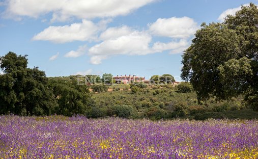 Luxury homes for sale in El Casar, Castile-La Mancha, Spain | JamesEdition