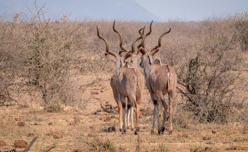 Luxury farm ranches for sale in South Africa | JamesEdition