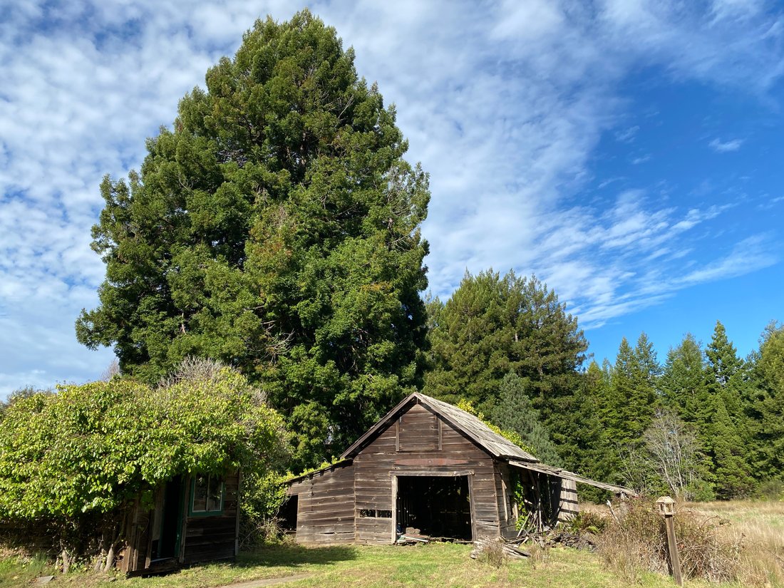 The Nolan Ranch In Fort Bragg, California, United States For Sale ...