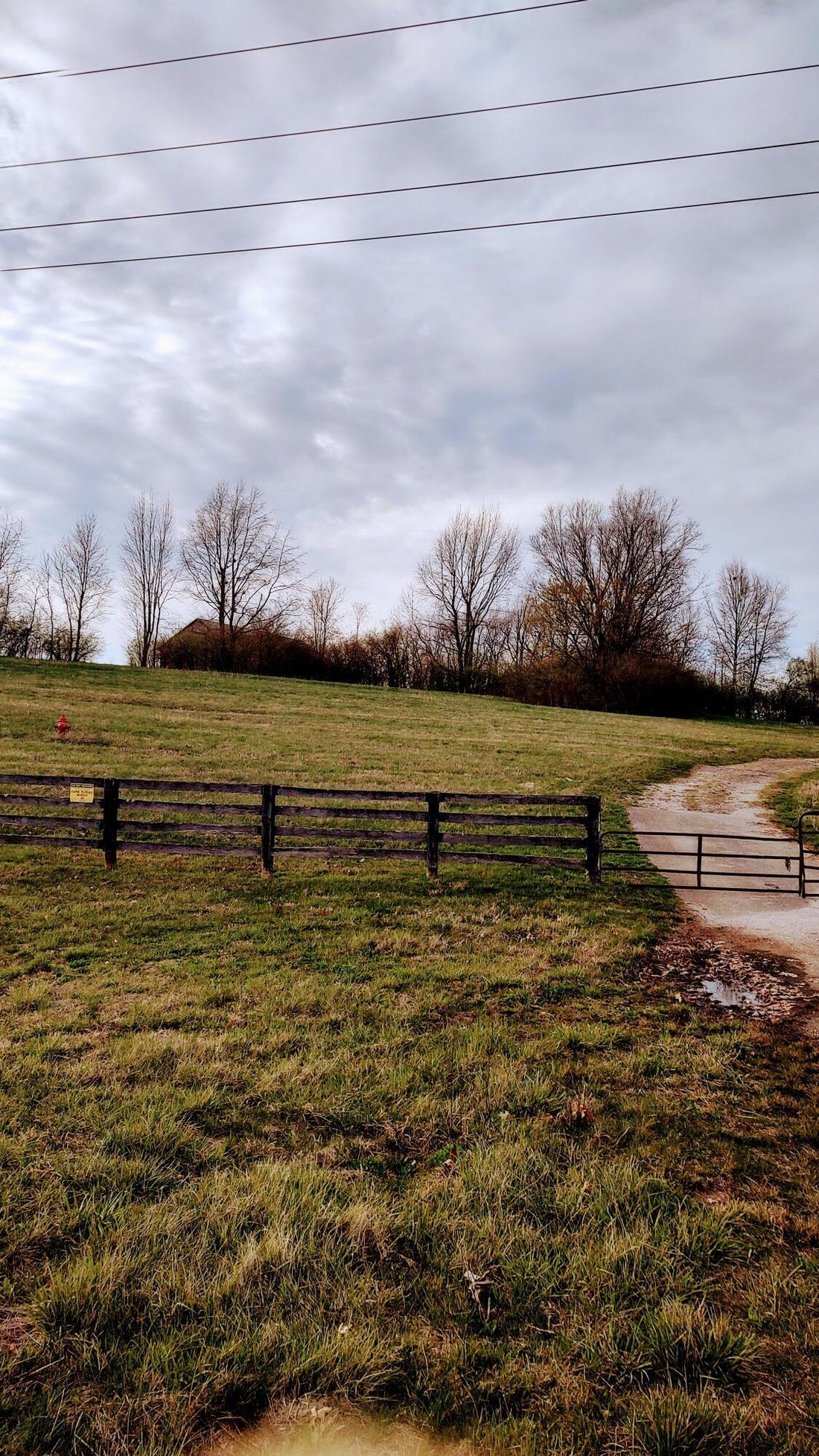 Farm/Ranch In Paris, Kentucky, United States For Sale (14332774)