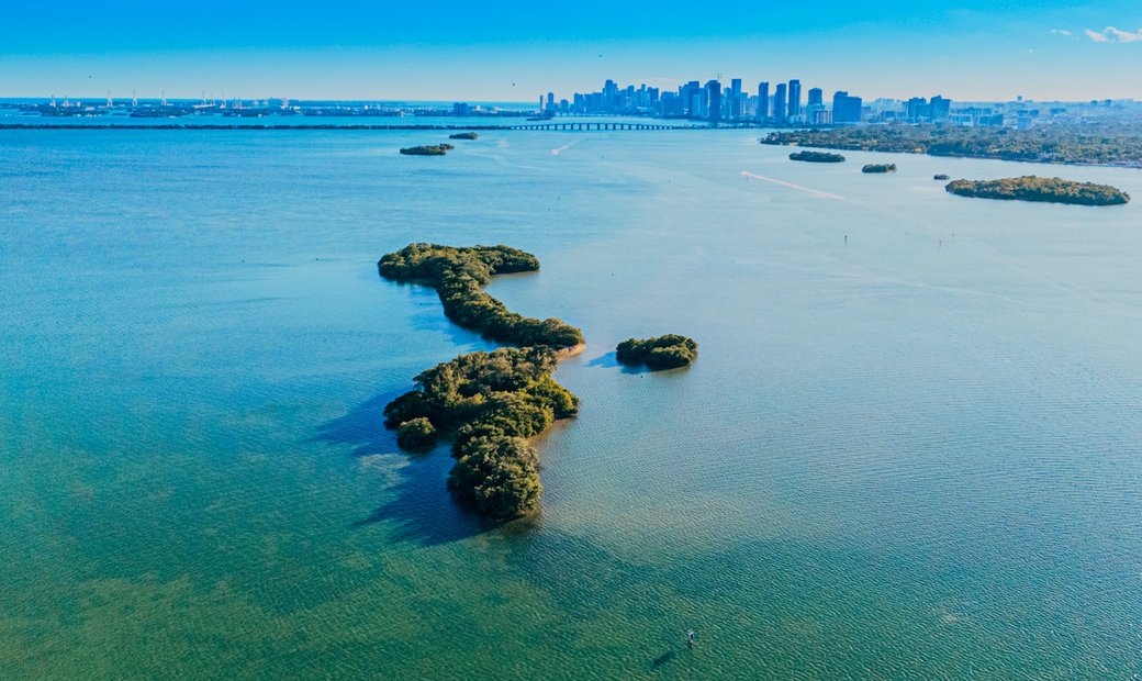 Bird Key In Miami, Florida, United States For Sale (14331654)