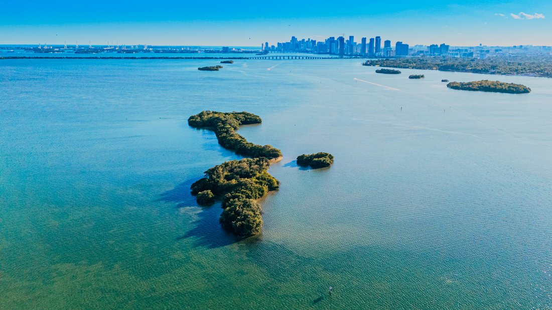 Bird Key In Miami, Florida, United States For Sale (14331654)