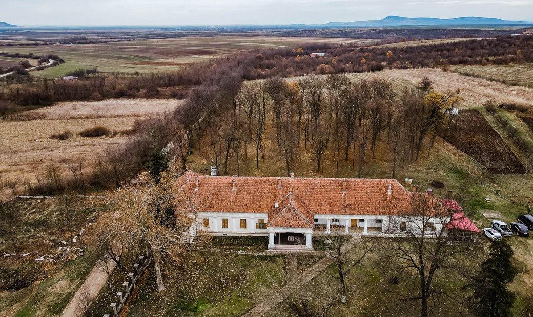 Daniel Mansion In Arad, Arad County, Romania For Sale (14348580)