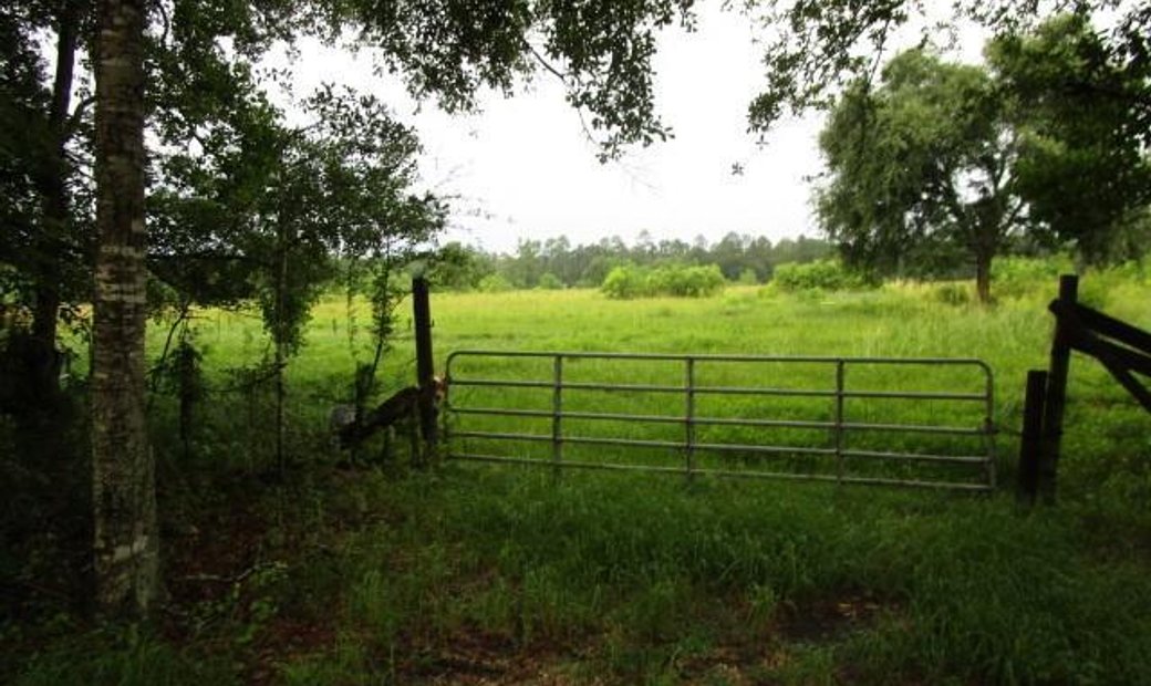 Over 40 Acres Of Mostly Cleared Pasture Land In Clayton, Georgia ...