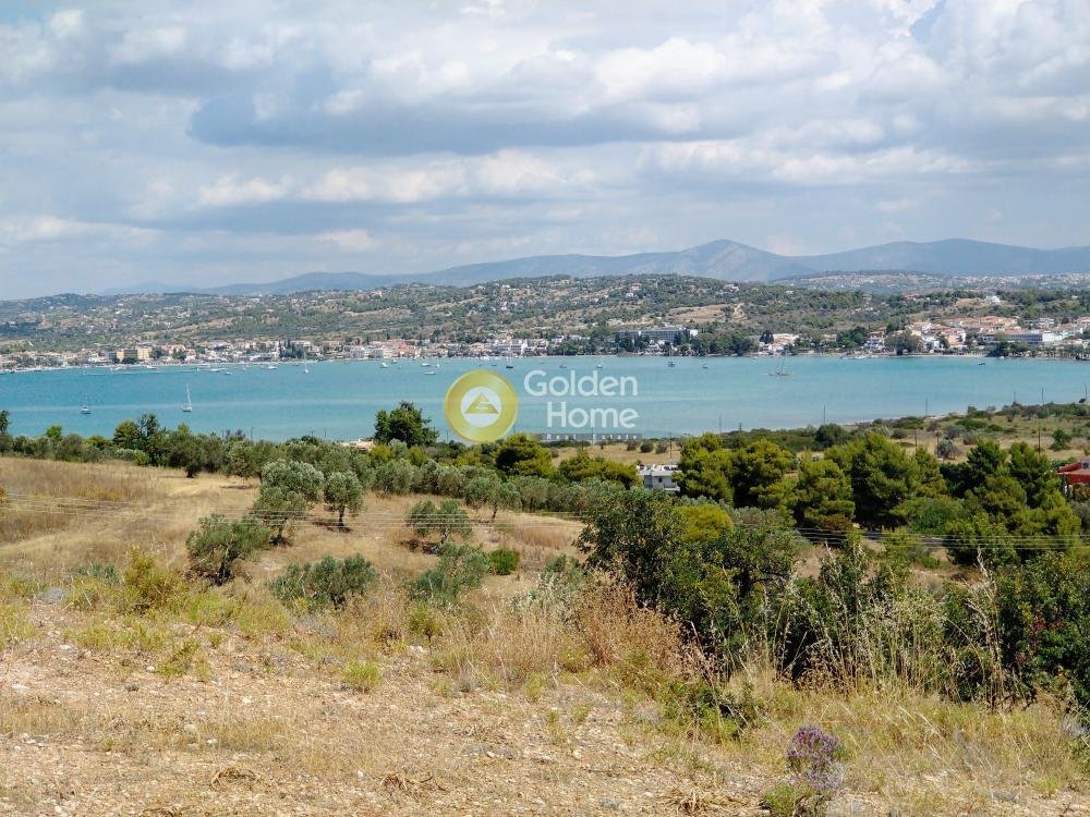 For Sale Land Parcel 16843sqm, In Koinotita Portoxeliou, Kranidi ...