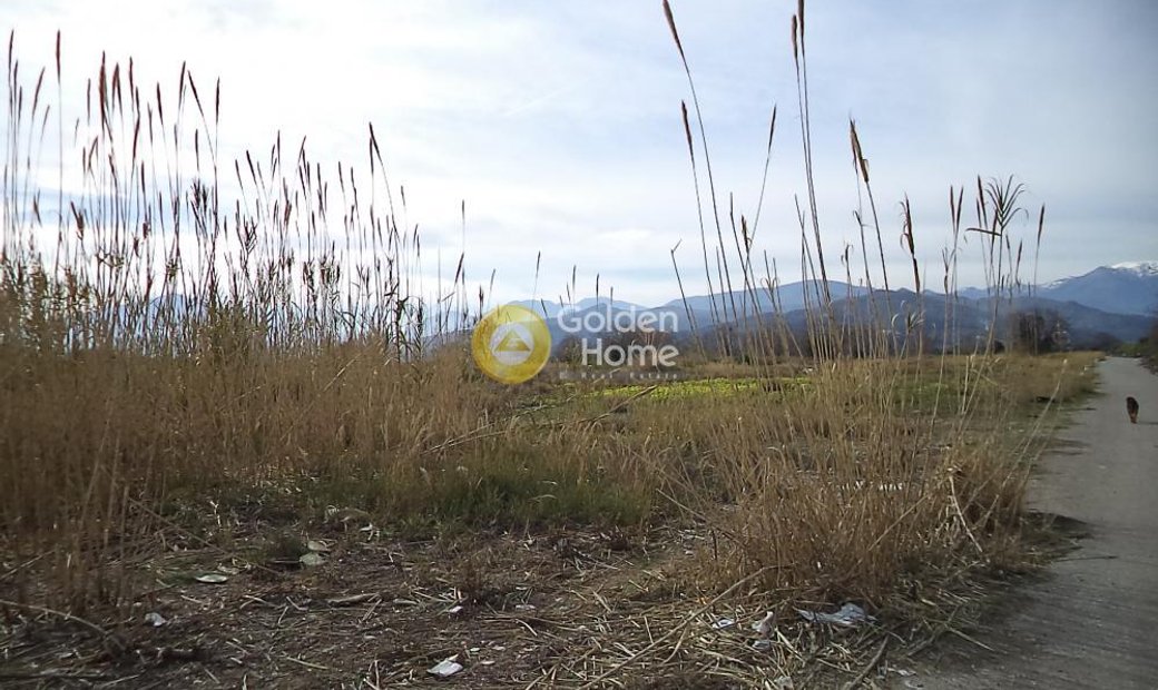 Sale Land Parcel 64700 M2 , Simpolitia Logos In Greece For Sale (14362733)