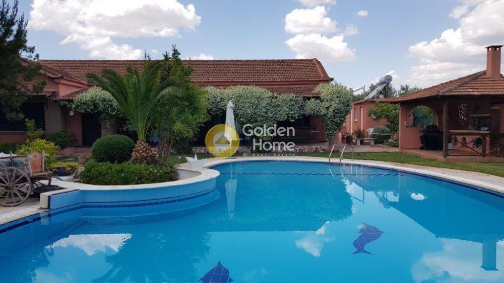 À Vendre Maison Résidentielle De Dans Avlis, Thessaly And Central ...