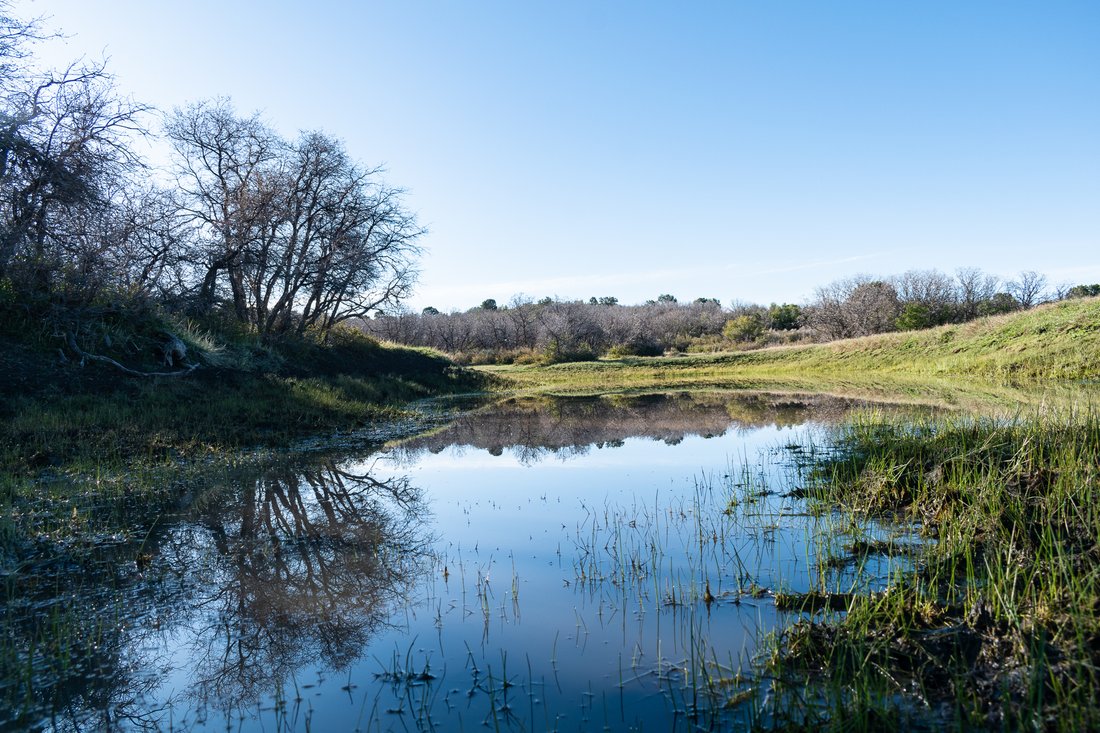 Saddle Ridge Ranch In Cedaredge, Colorado, United States For Sale ...