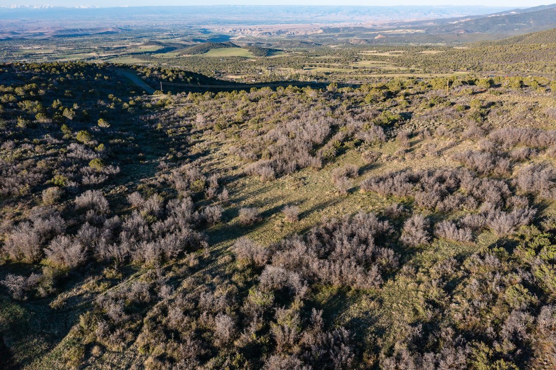 Saddle Ridge Ranch In Cedaredge, Colorado, United States For Sale ...