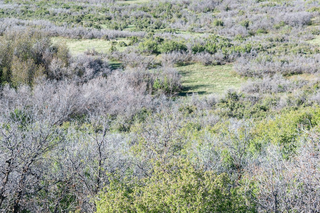 Saddle Ridge Ranch In Cedaredge, Colorado, United States For Sale ...
