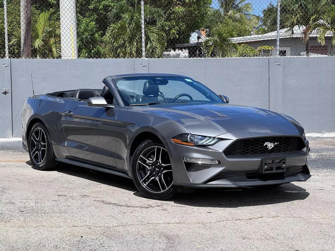 2022 Ford Mustang In Miami, Fl, United States For Sale (14399569)