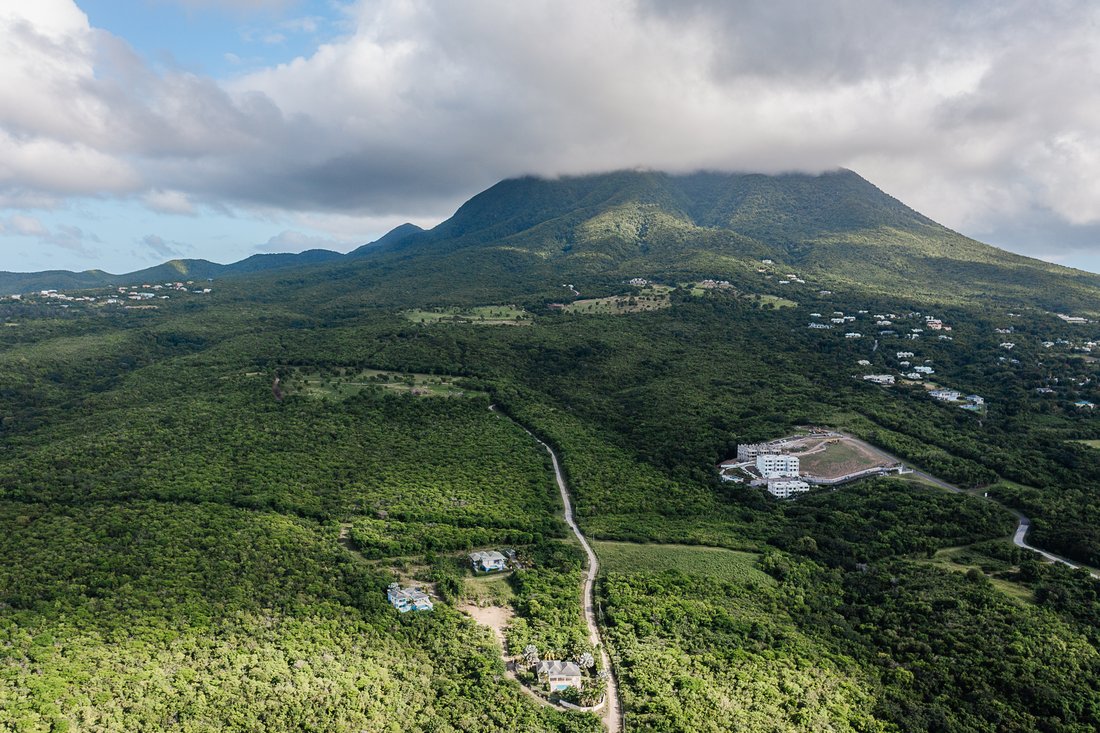 Cotton In Cotton Ground, Saint Thomas Lowland Parish, Saint Kitts And ...