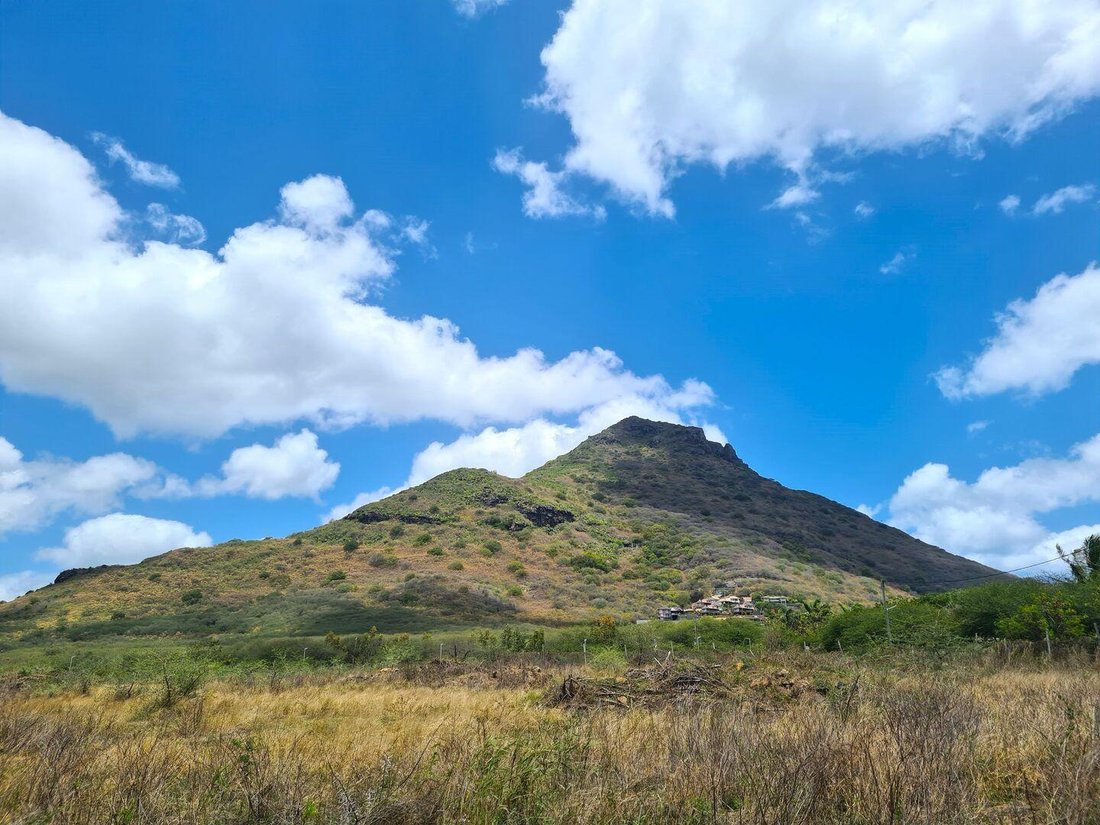 Nature At The Gateway To The City In Tamarin, Rivière Noire District ...