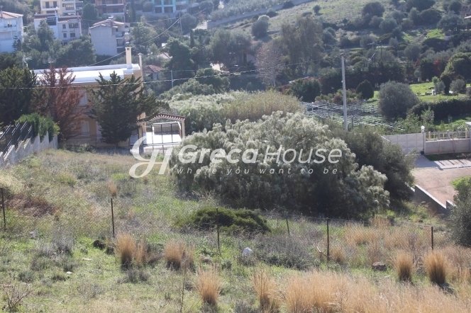 Plot 1350 Sq.M For In Anavyssos, Decentralized Administration Of Attica ...