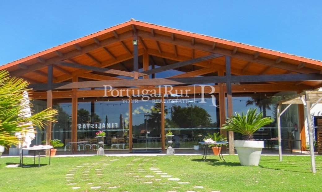 3 Hectare Farm For In Abrantes (Sao Vicente E Sao Joao) E Alferrarede ...