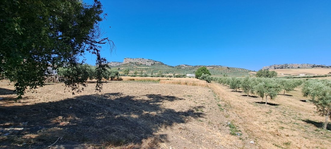 🏡🌟 Developable Land With 31 Plots, In Cuevas Del Becerro, Andalusia ...
