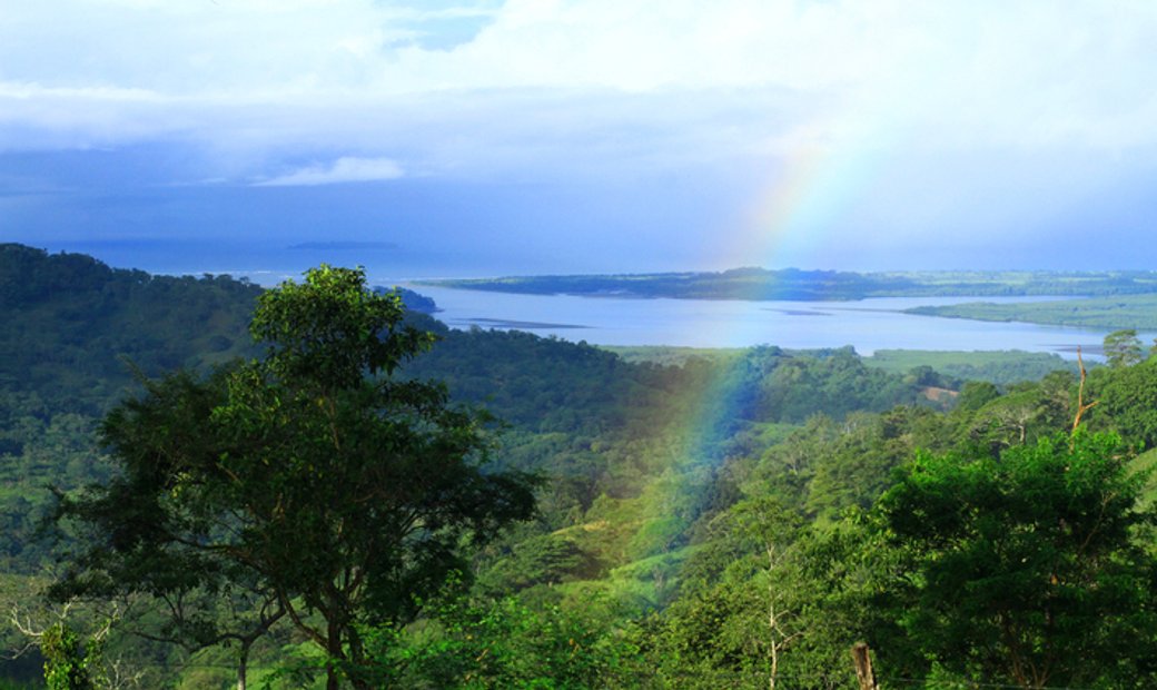 Prime Land For Sale In Chiriquí, In Lajas De Tolé, Chiriquí Province ...
