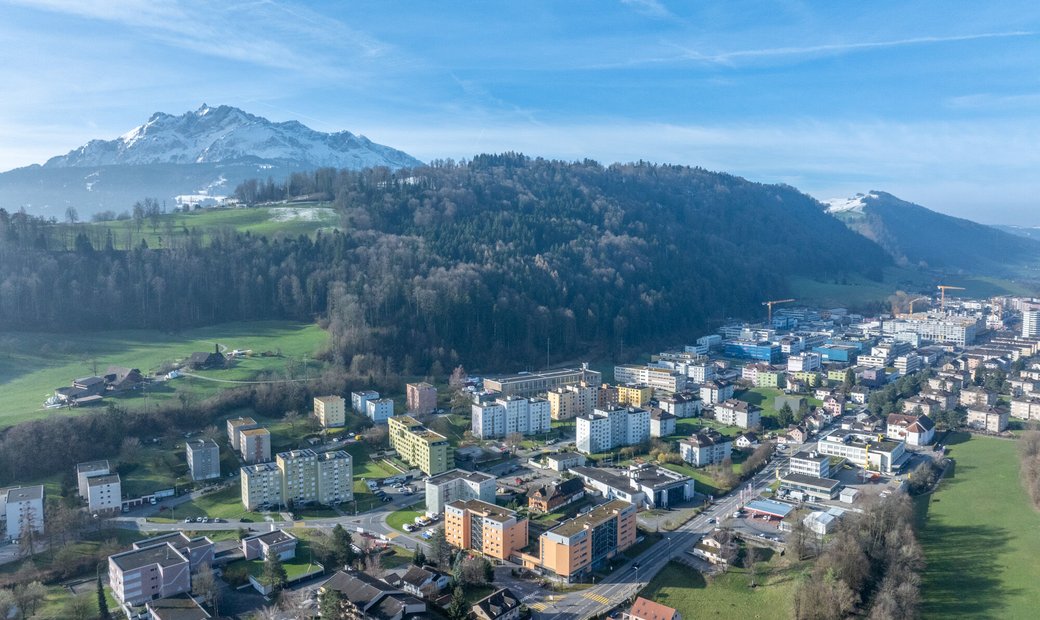 Elegant Living With South Facing Terrace In Lucerne, Lucerne ...