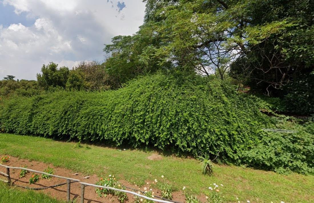 Prime Investment Opportunity In Linbro Park! In Sandton, Gauteng, South ...