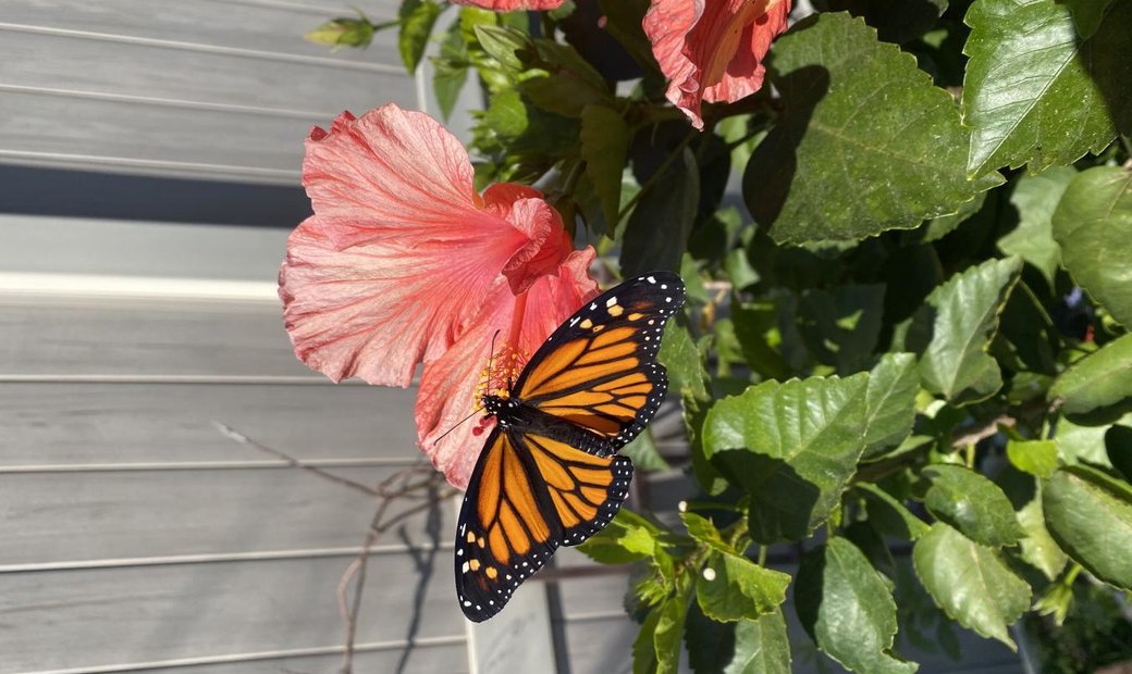 330 Ocean Cay Blvd In St. Augustine, Florida, United States For Sale ...