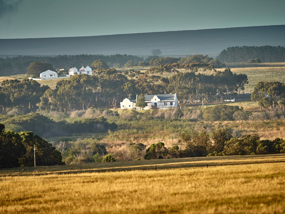 A Sublime Game And Lifestyle Farm In Napier, Western Cape, South Africa ...