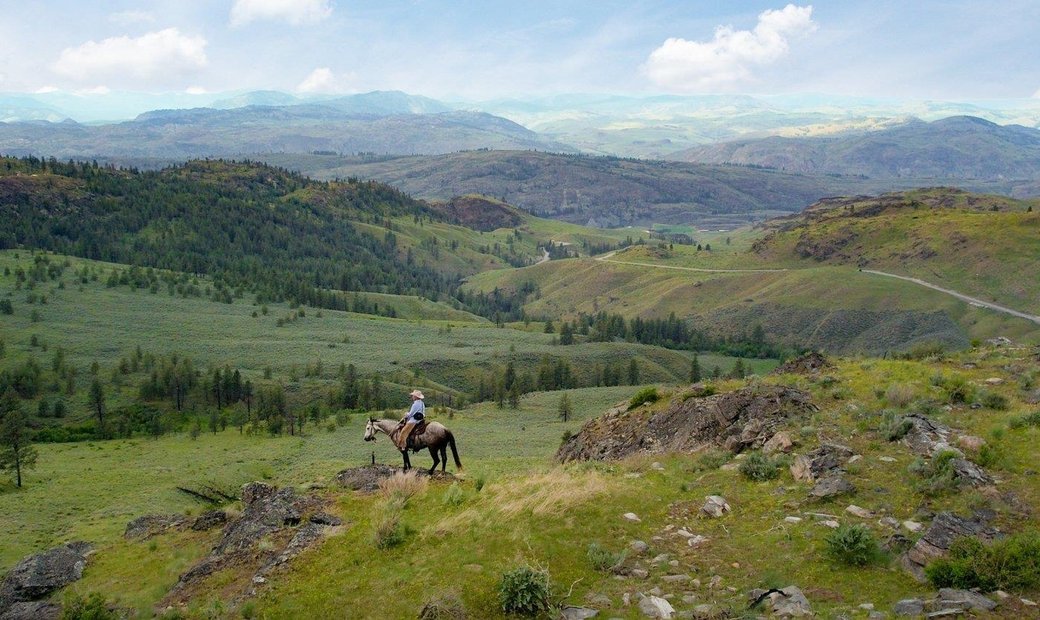Tunk Creek Ranch 536 Acres Of In Riverside, Washington, United States ...