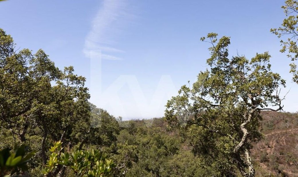 Santiago Do Cacém Land In Setubal, Portugal For Sale (14503154)