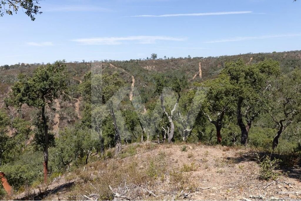 Santiago Do Cacém Land In Setubal, Portugal For Sale (14503154)