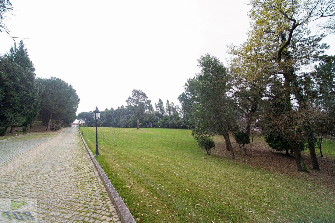 In Oliveira De Azemeis, Santiago De Riba Ul, Ul, Macinhata Da Seixa E ...