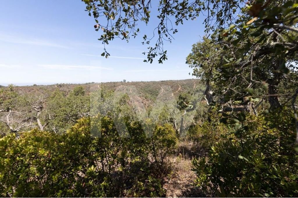 Santiago Do Cacém Land In Setubal, Portugal For Sale (14503154)