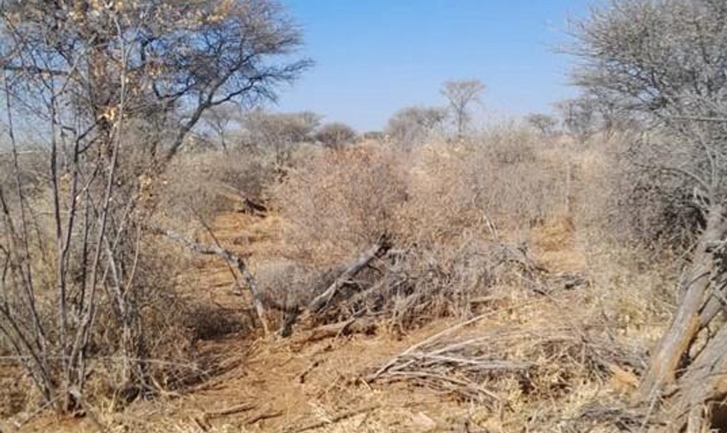 Namibia, Otjozondjupa | Farm For Sale , In Otavi, Otjozondjupa Region, Namibia For Sale (14503825)