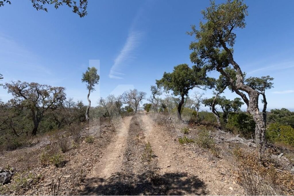 Santiago Do Cacém Land In Setubal, Portugal For Sale (14503154)