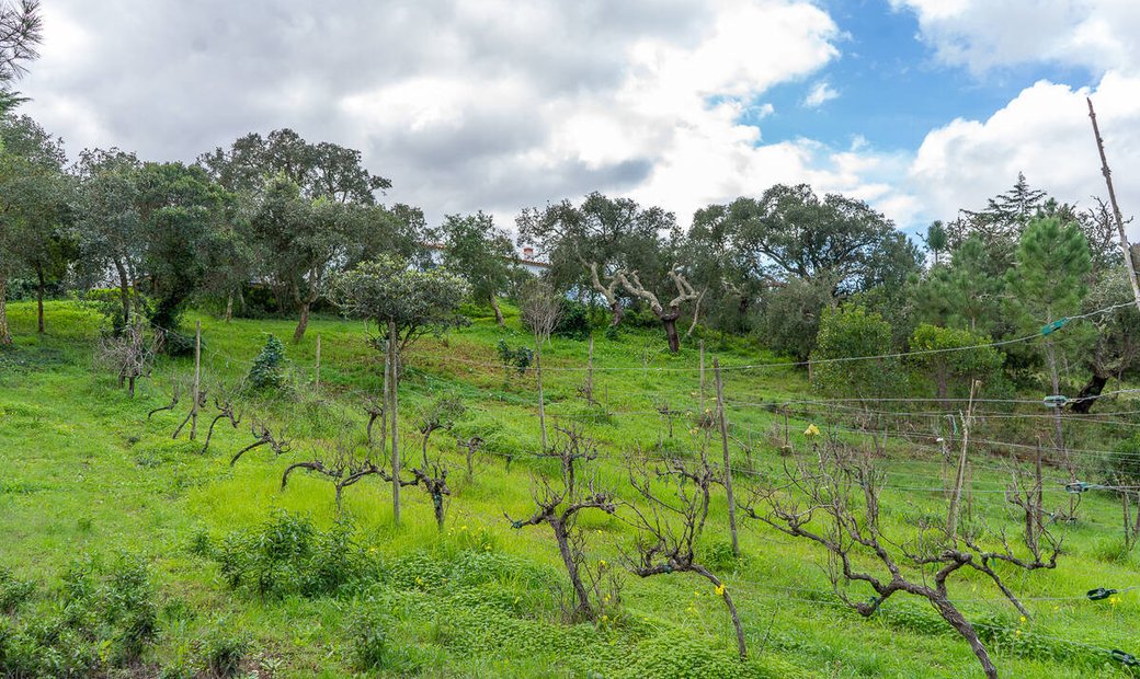 Fantástica Quintinha Alfambras In Bordeira, Algarve, Portugal For Sale ...