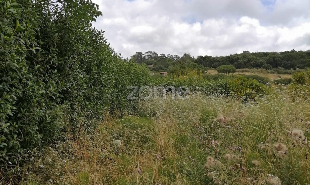 Sintra Rustic Quinta In Colares, Lisbon, Portugal For Sale (14513410)