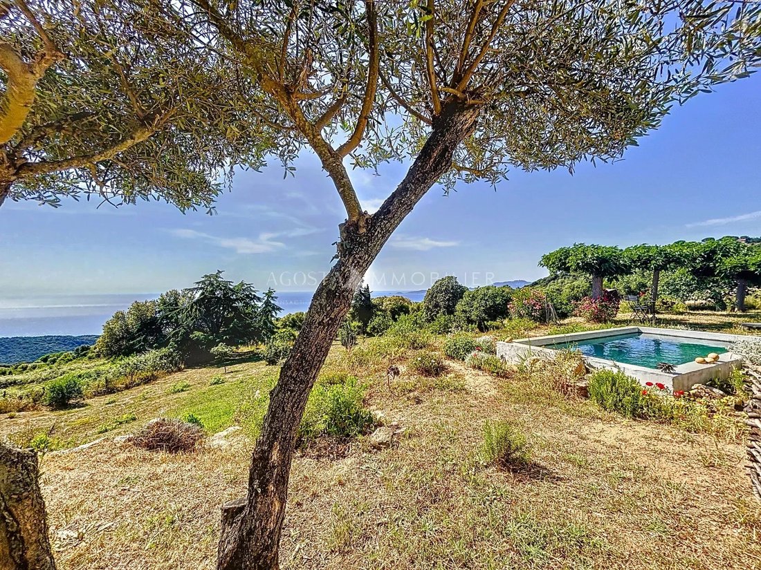 Coti Chiavari House In Coti Chiavari, Corsica, France For Sale (14530910)