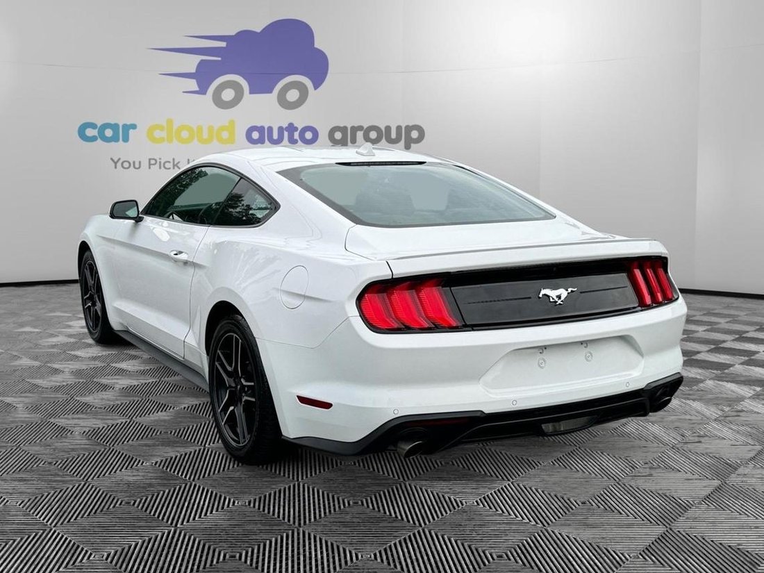 2023 Ford Mustang In Stafford, Va, United States For Sale (14519819)
