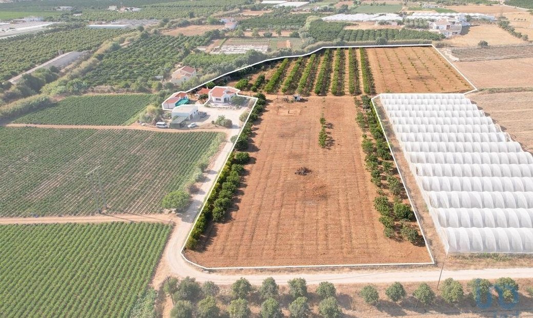 Faro Farm In Algarve, Portugal For Sale (14537373)