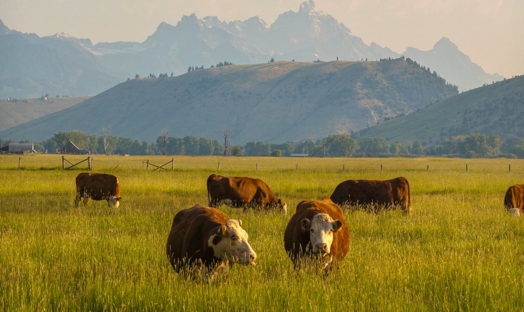 Jackson Farm In Jackson, Wyoming, United States For Sale (14550916)