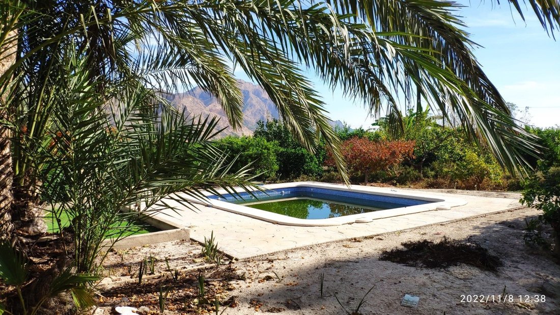 Redovan Villa In Redovan, Valencian Community, Spain For Sale (14567610)