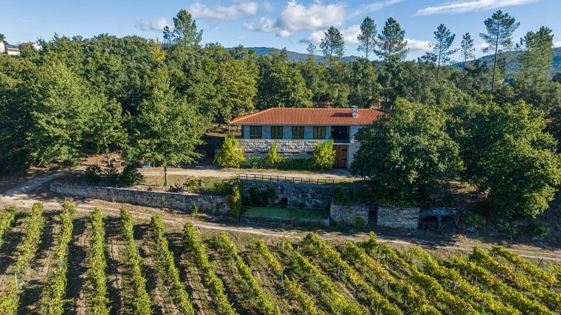 Quinta No Minho Com Produção De Vinho Verde, In Cabeceiras De Basto ...