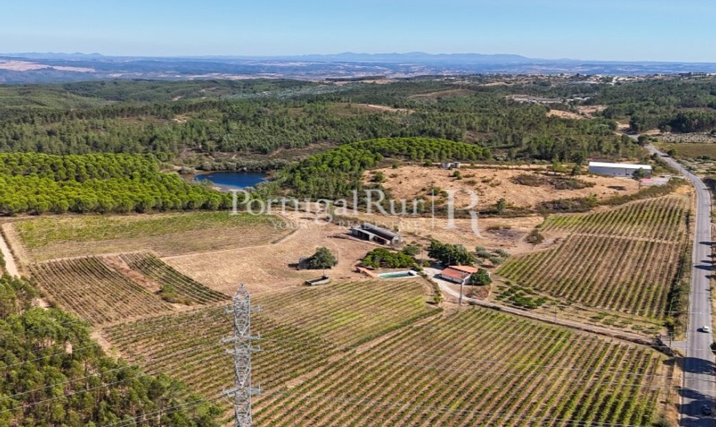 33 Hectare Estate With Winery And Vineyard In Castelo Branco, Portugal ...