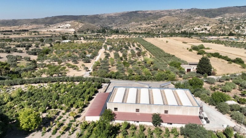 Ragusa Land In Sicily, Italy For Sale (14651814)