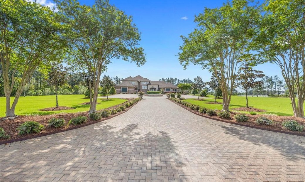 Sassafras In Lake Charles, Louisiana, United States For Sale (14665992)