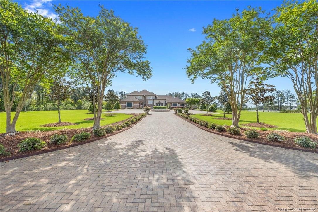 Sassafras In Lake Charles, Louisiana, United States For Sale (14665992)