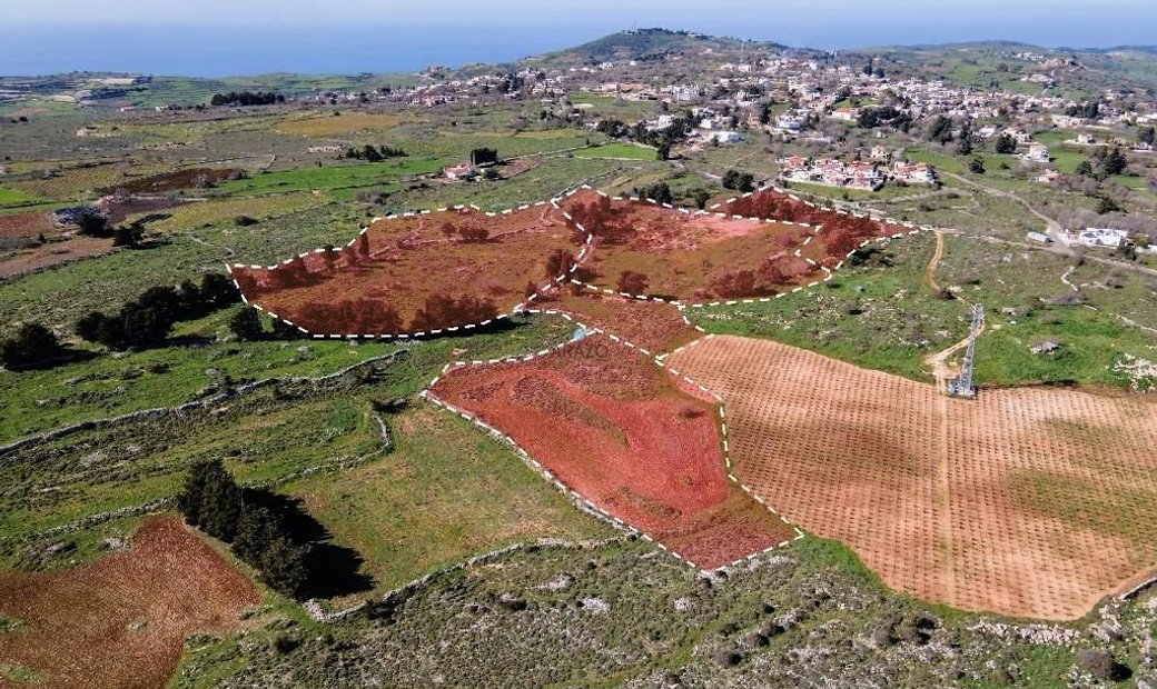 Field In Drouseia, Paphos In Drouseia, Paphos, Cyprus For Sale (14675871)