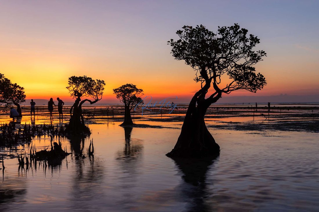 Stunning Beachfront Eco Resort On In Sumba, East Nusa Tenggara ...