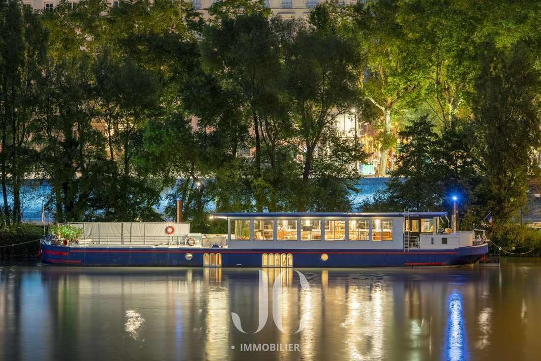 Barge With Terrace And Pool In Lyon, Auvergne Rhône Alpes, France For ...